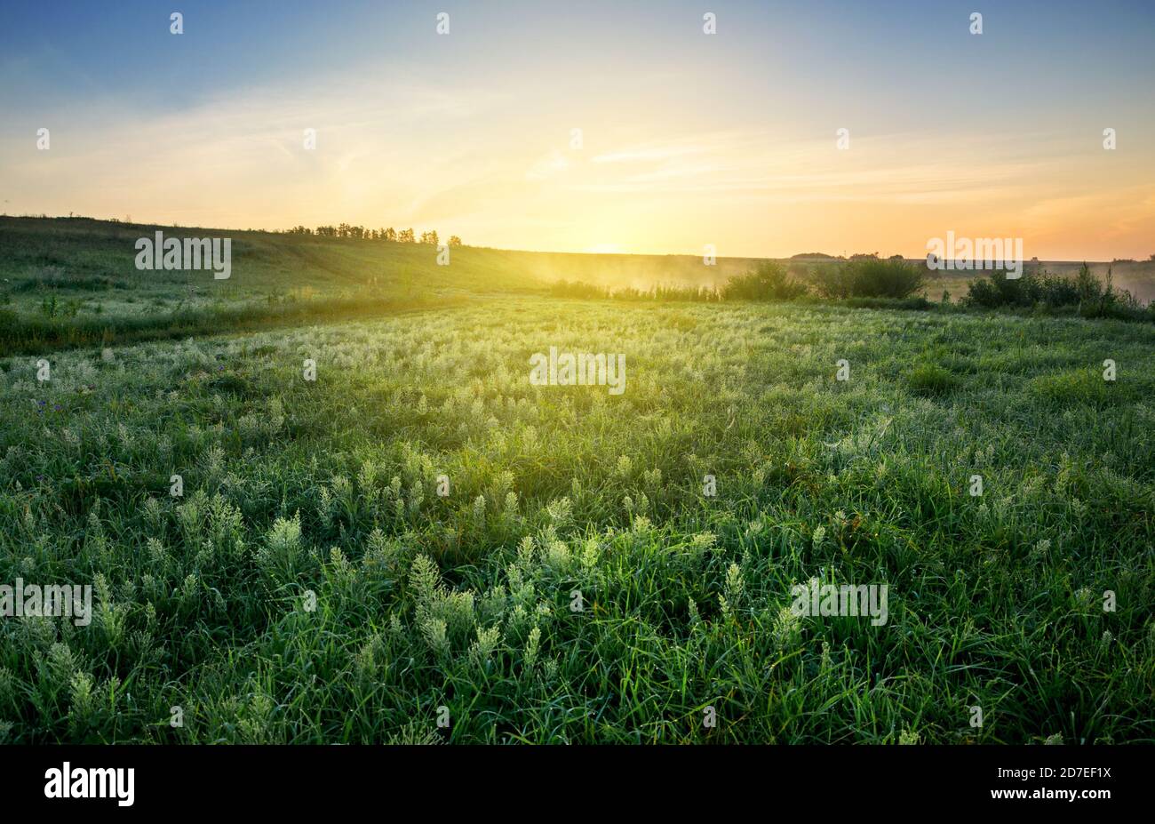 Green landscape sunrise green color hi-res stock photography and images ...