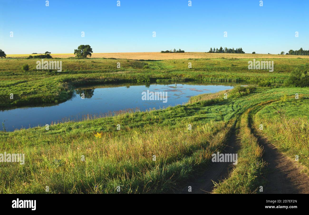 Sunny summer landscape with ground country road passing through the ...