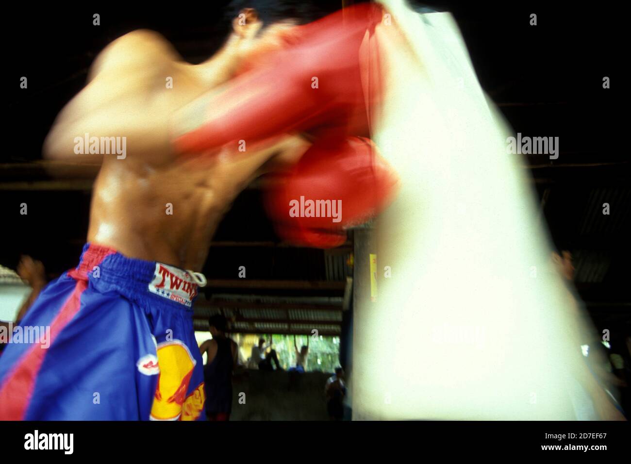 a training of Muay Thai Boxing in the city of Bangkok in Thailand in ...