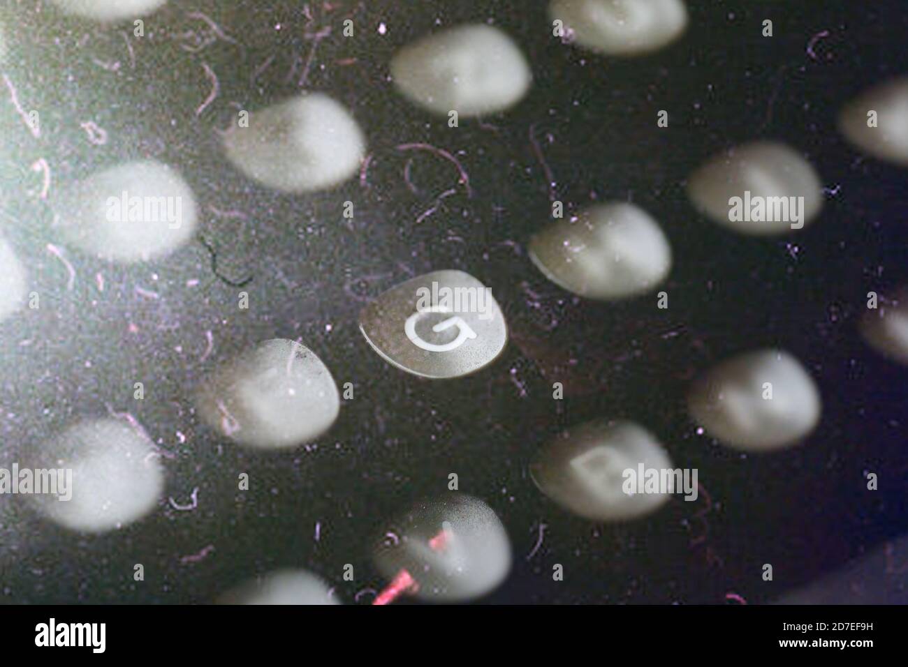 G one letter in focus on the keyboard of an old typewriter Stock Photo ...