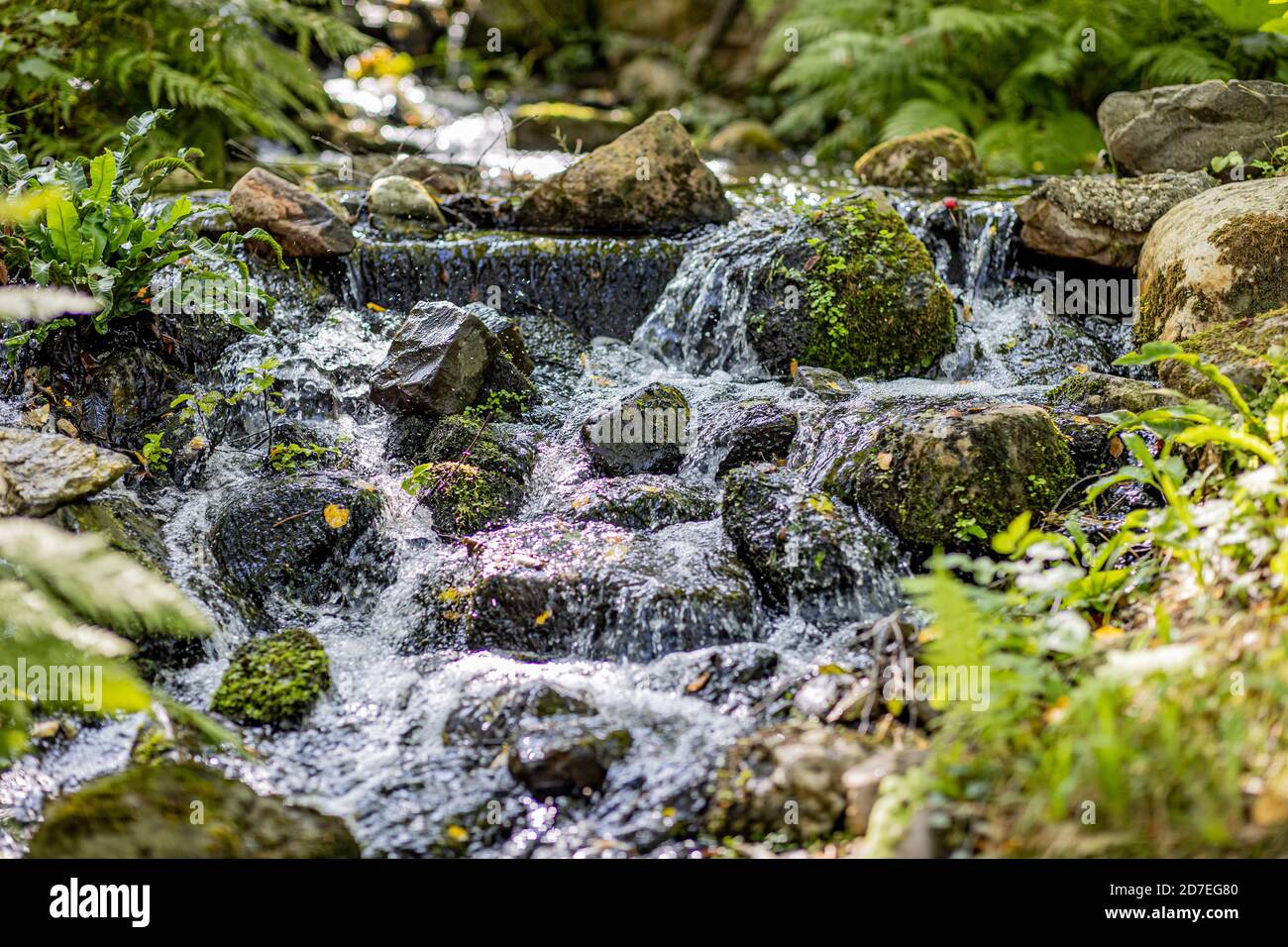 Stream of clean and crystalline water of a river that flows between the ...