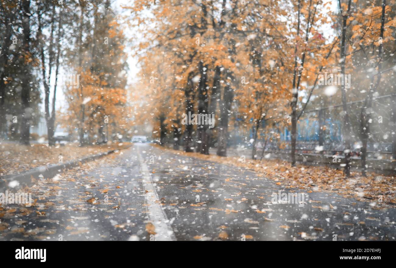 Autumn park in the days of the first snow Stock Photo - Alamy