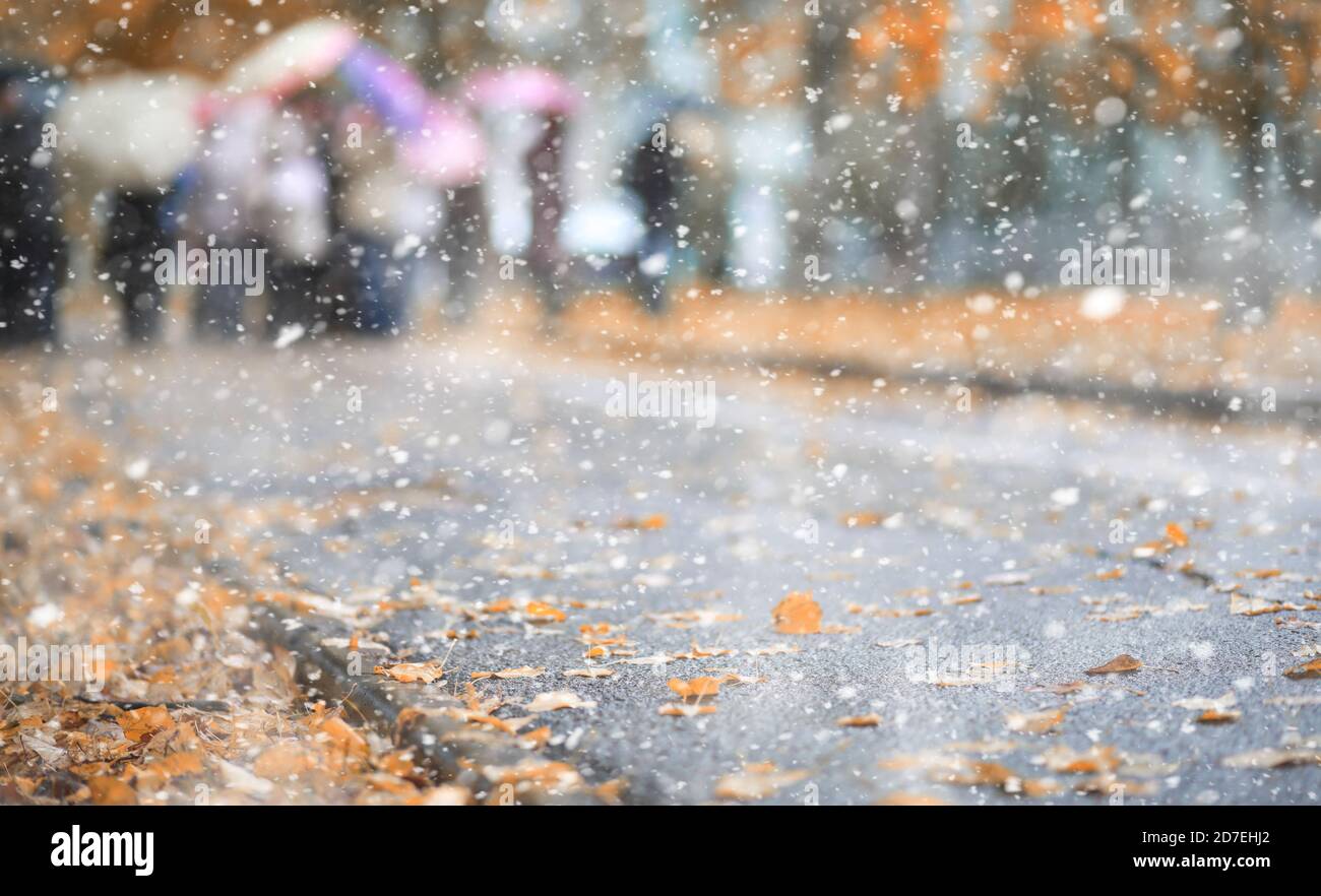 Autumn park in the days of the first snow Stock Photo - Alamy