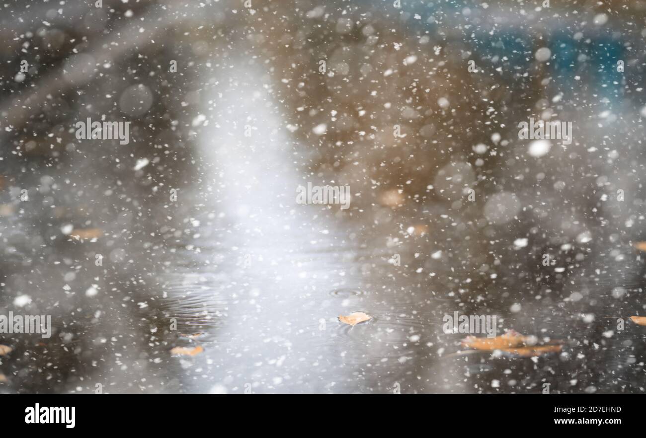 Autumn park in the days of the first snow Stock Photo - Alamy