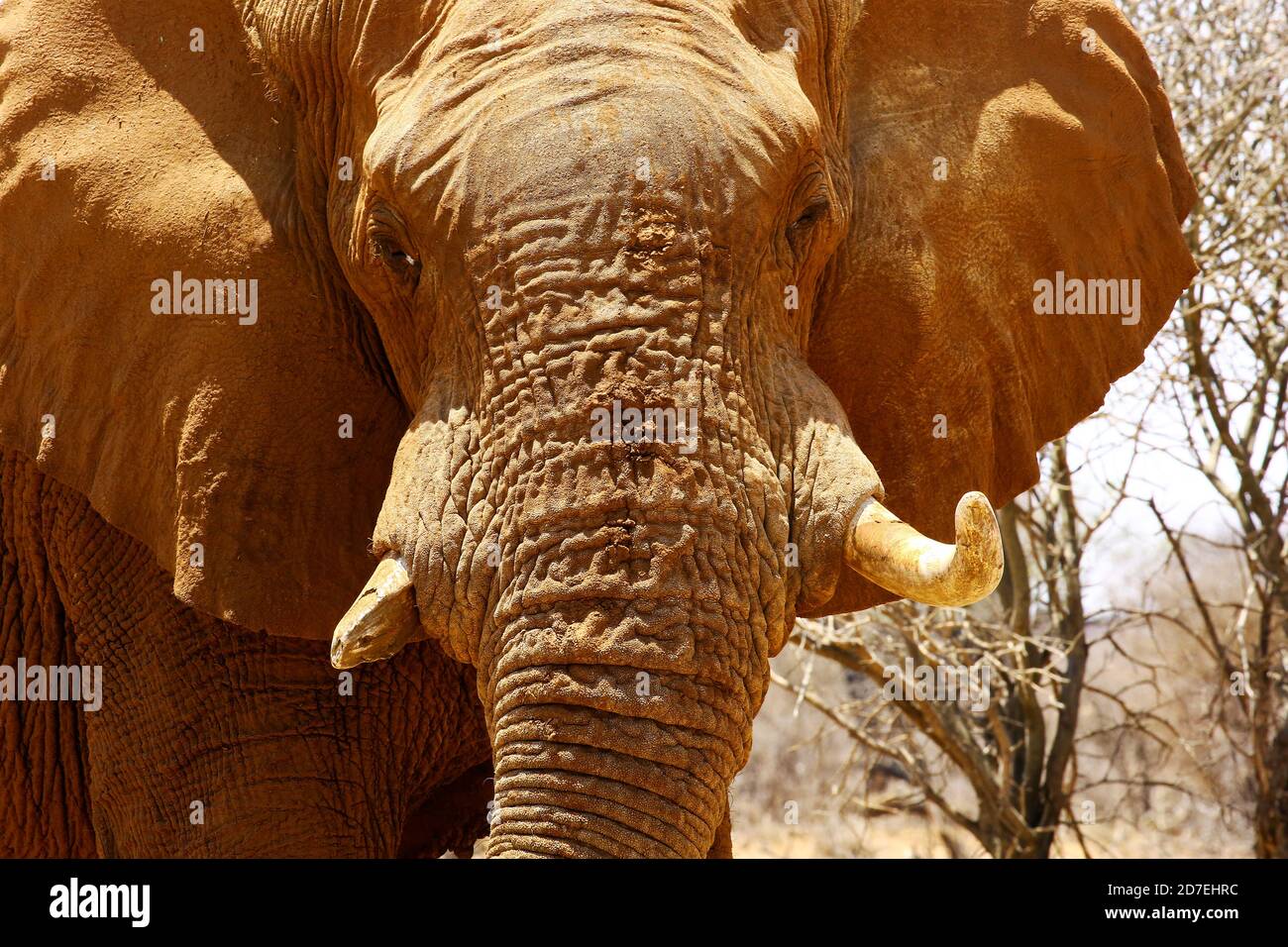 Looking glance hi-res stock photography and images - Alamy
