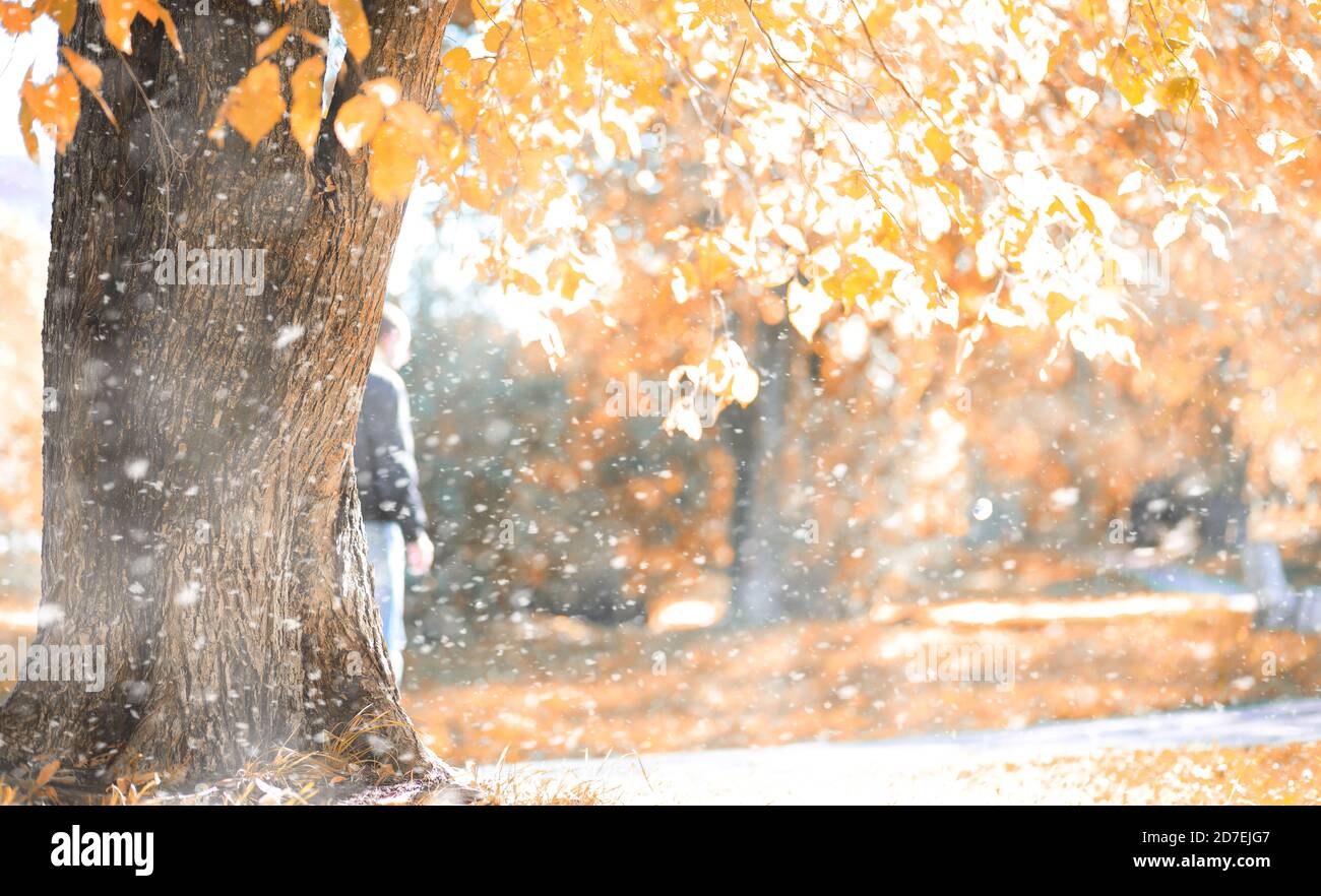 Autumn park in the days of the first snow Stock Photo - Alamy