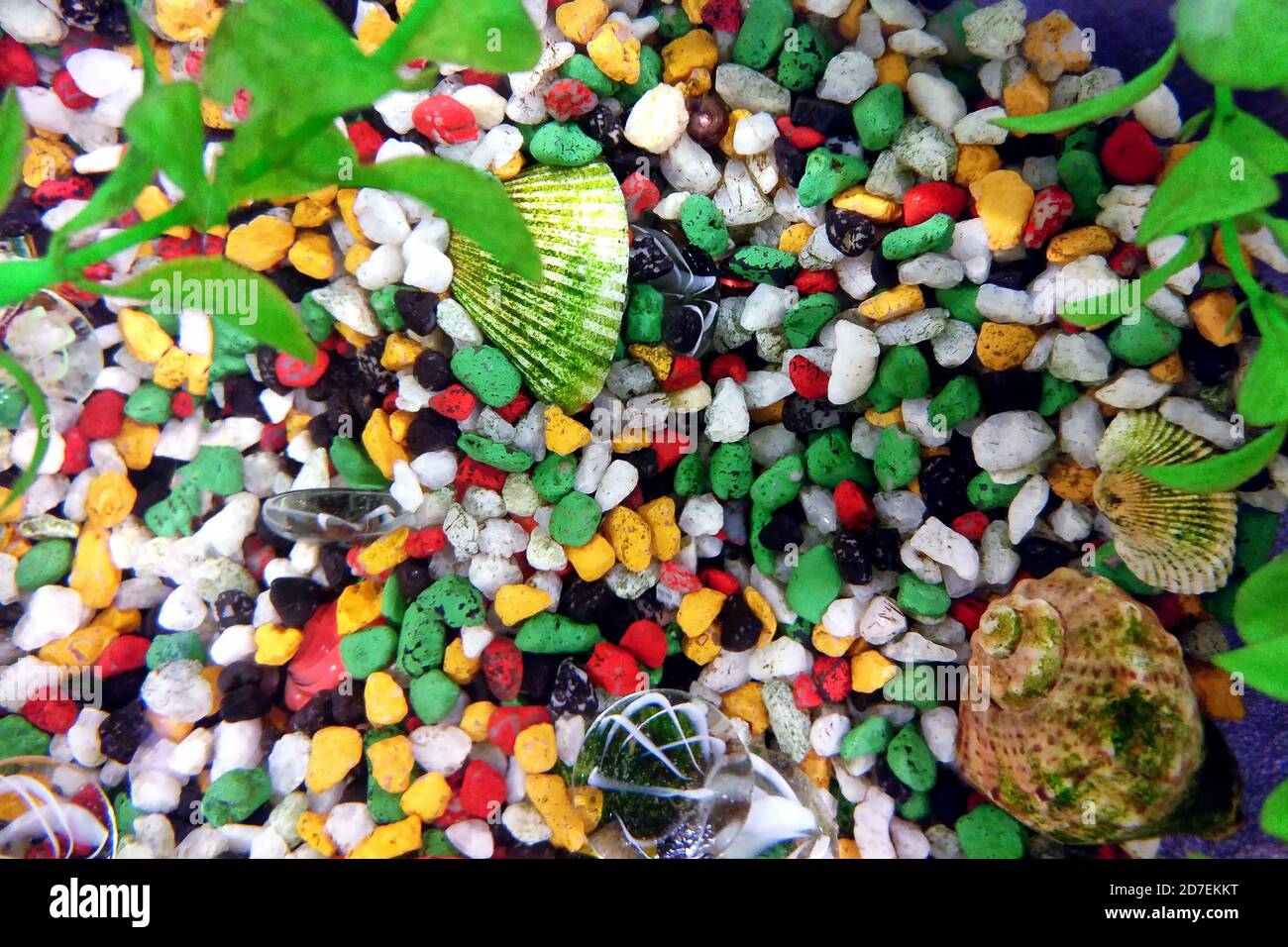 Aquarium background - top view. Texture of colored stones. Aquarium ...