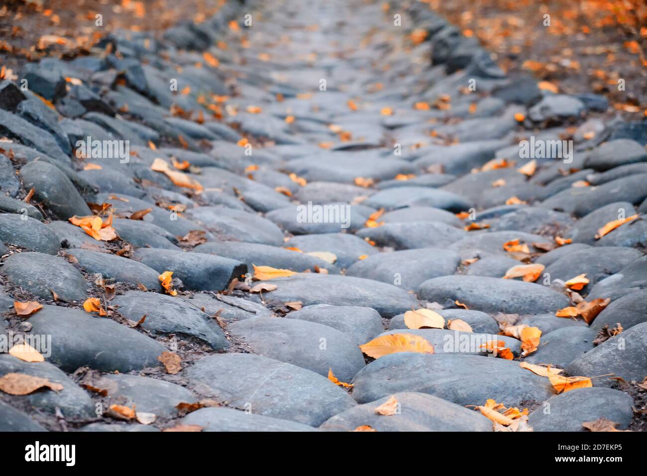 Pathway drainage hi-res stock photography and images - Alamy