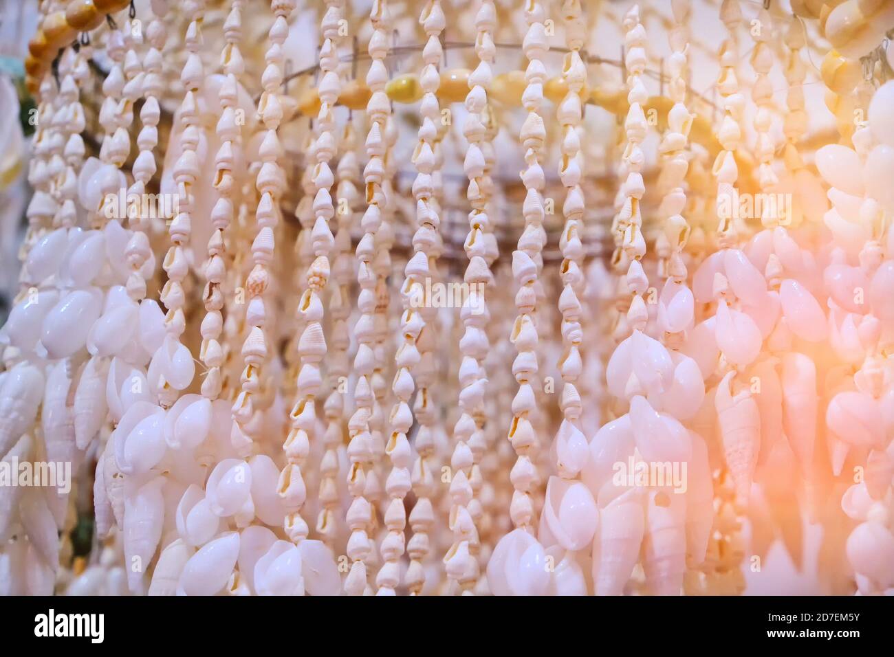 Background of white shells on a string. Light texture of seashells ...