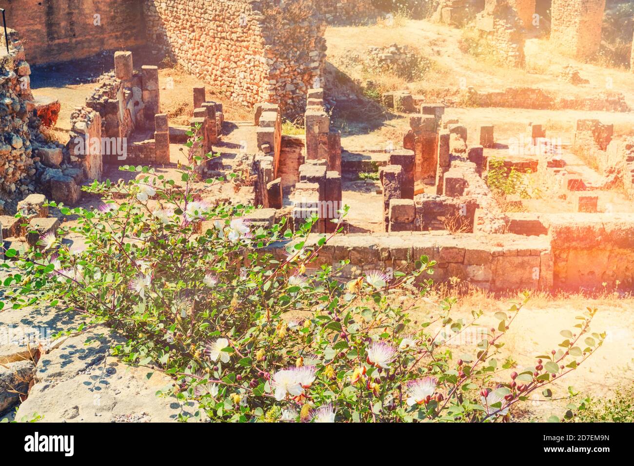 Ruins of the Punic wars with Rome in Carthage. The house where the ...