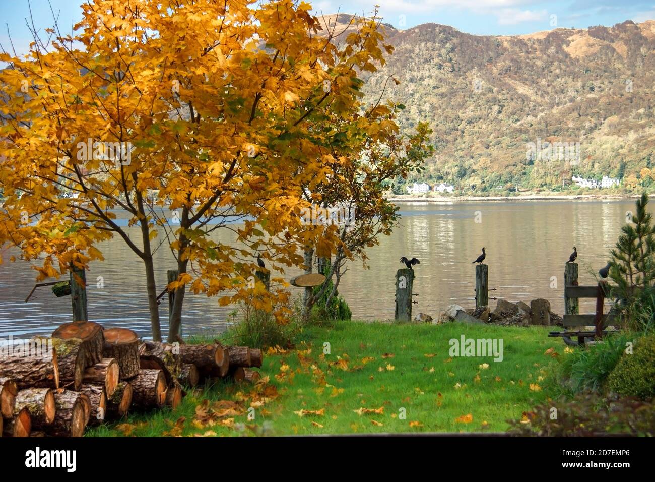 Beautiful autumn in Scottish Highlands. Kentallen, Appin, Scotland, UK ...