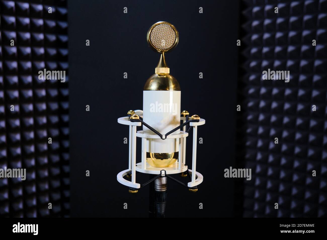 Condenser microphone with a wide membrane. Microphone of gold and white ...