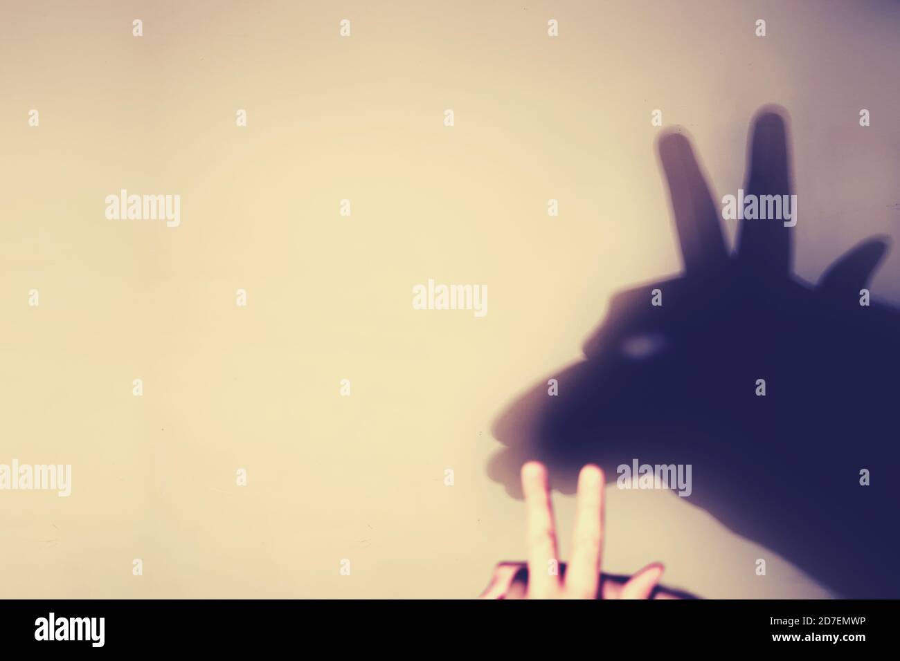 Shadow of goat on the wall hi-res stock photography and images - Alamy