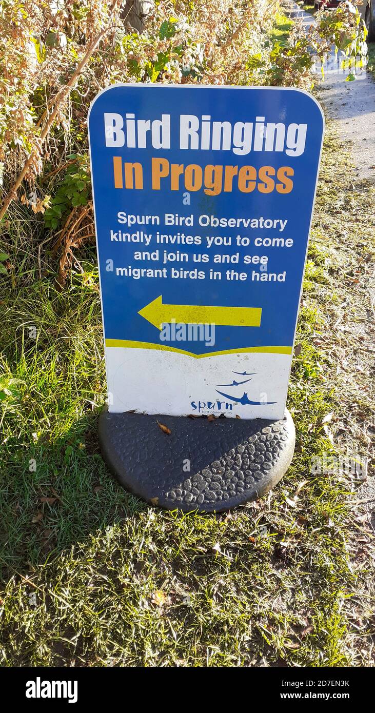 Spurn point bird observatory hi-res stock photography and images - Alamy