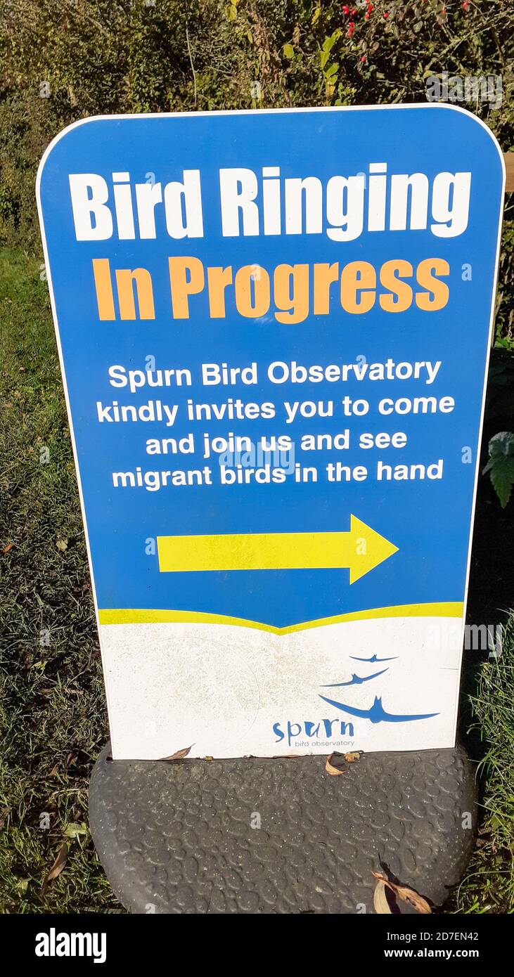 Spurn point bird observatory hi-res stock photography and images - Alamy