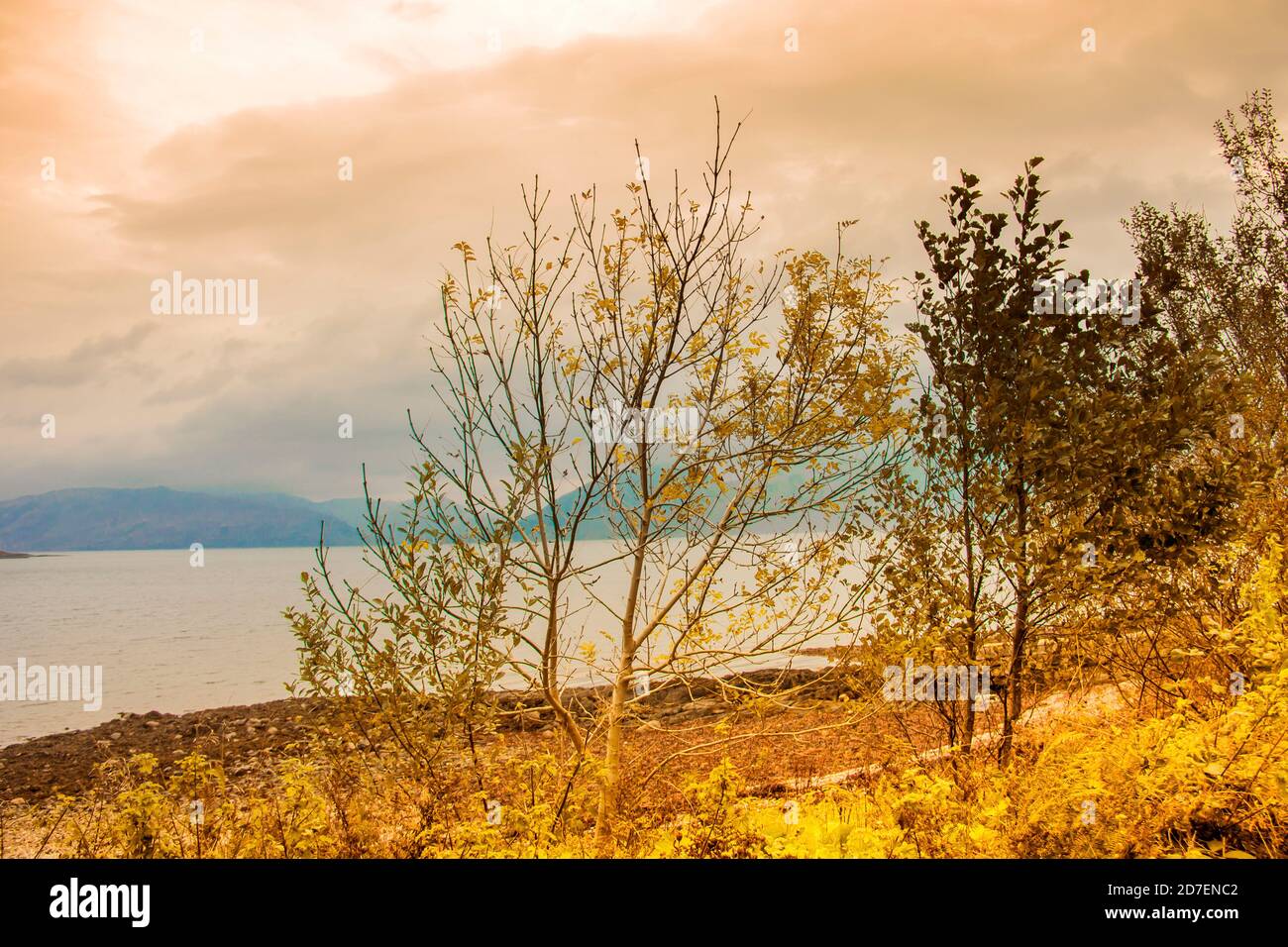 Beautiful autumn in Scottish Highlands. Kentallen, Appin, Scotland, UK ...