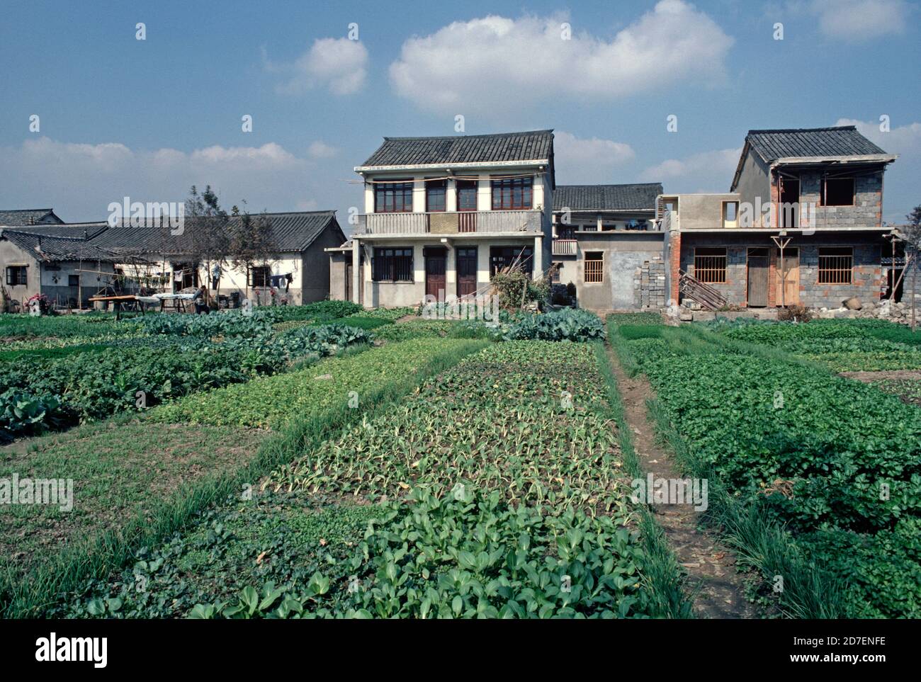China house 1980s hi-res stock photography and images - Alamy