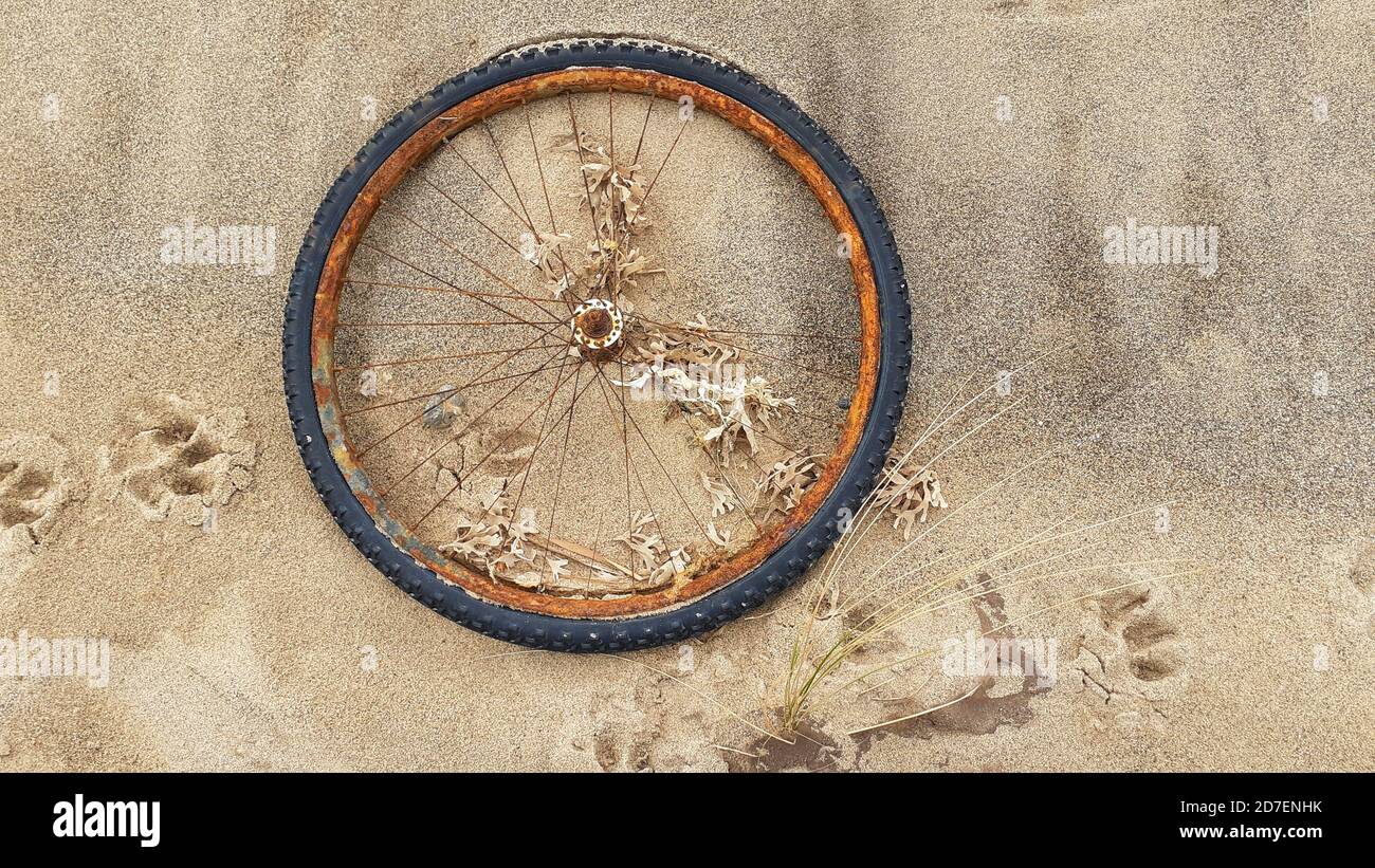A bike wheel washed ashore at Spurn, Yorkshire, UK Stock Photo - Alamy