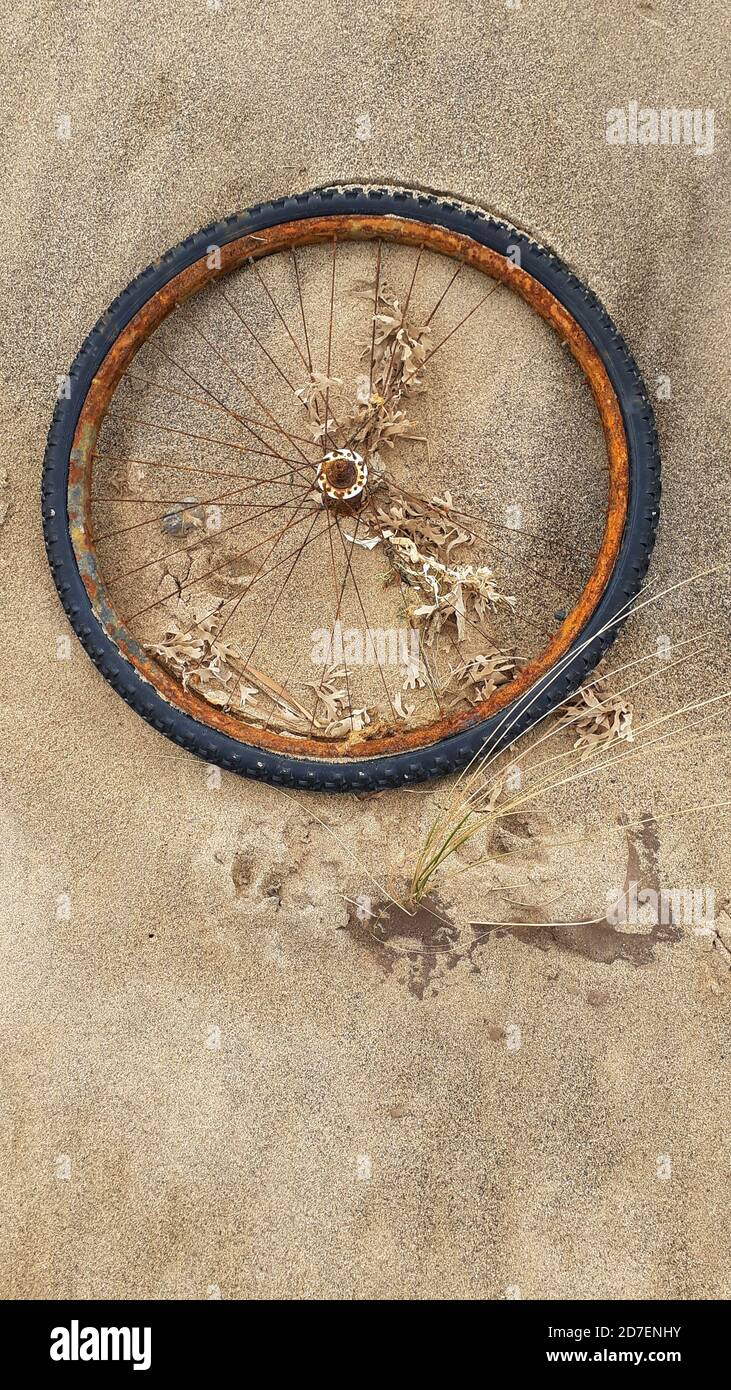 A bike wheel washed ashore at Spurn, Yorkshire, UK Stock Photo - Alamy