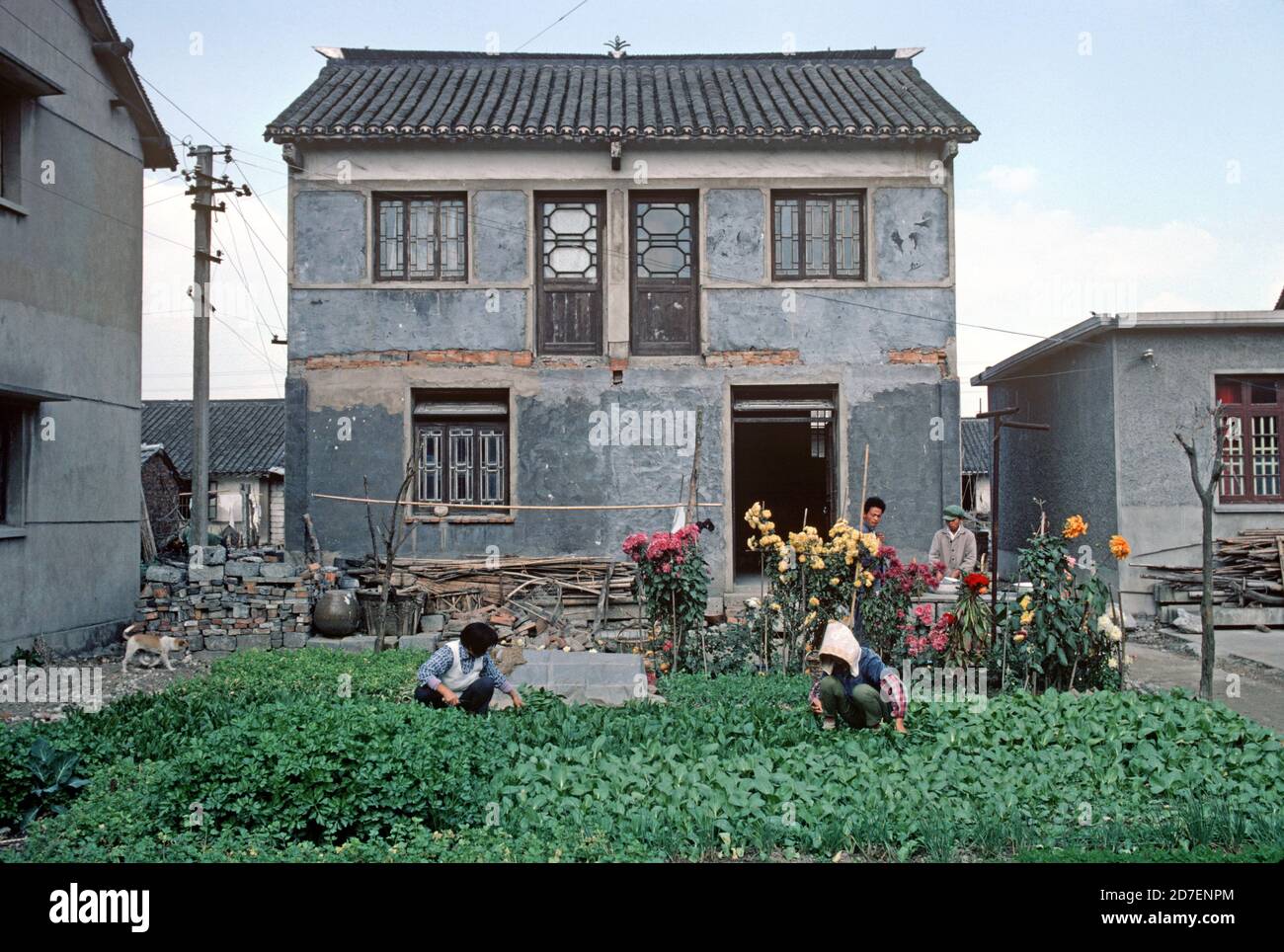 China house 1980s hi-res stock photography and images - Alamy