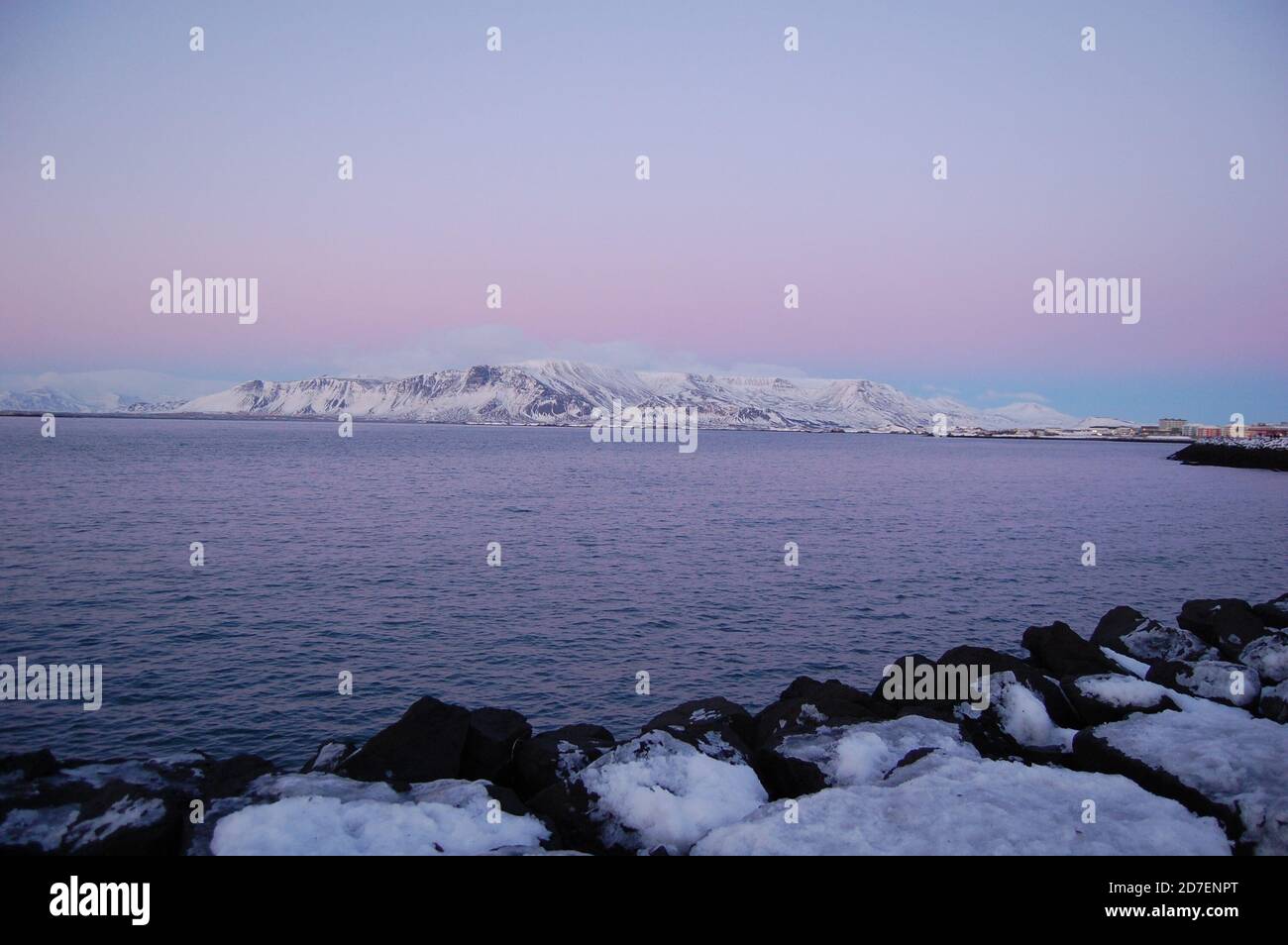 pink colorful sunset in Reykjavik waterfront with snowy peaks around ...