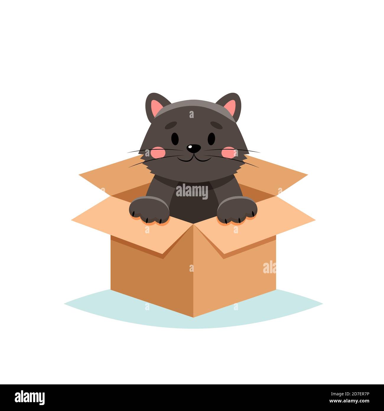 Adopt a pet - cute cat in a box, isolated on white background Stock ...