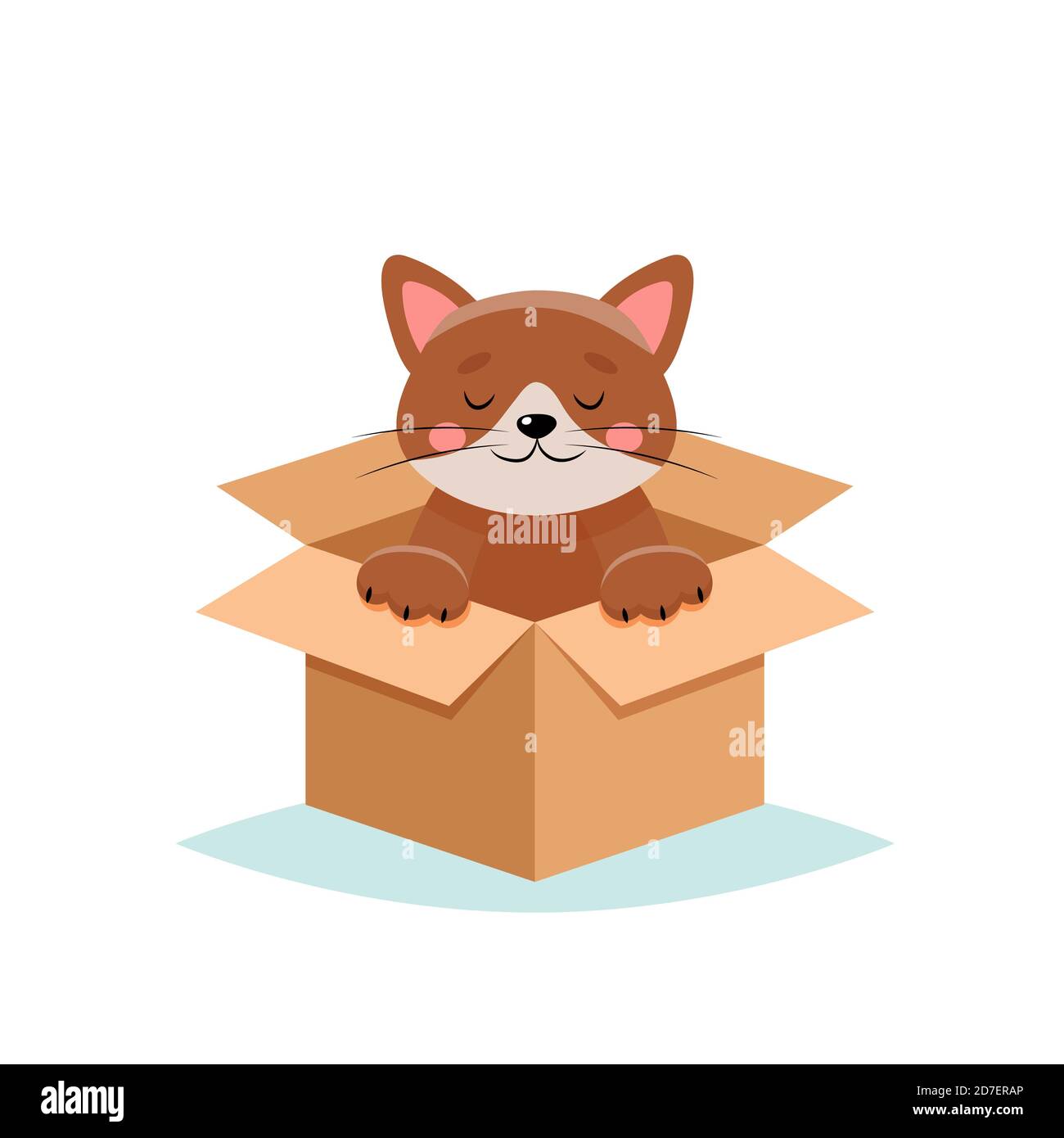 Adopt a pet - cute cat in a box, isolated on white background Stock ...
