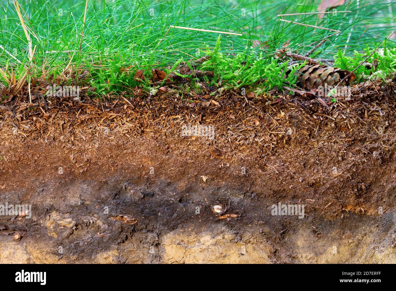 Ground layer hi-res stock photography and images - Alamy