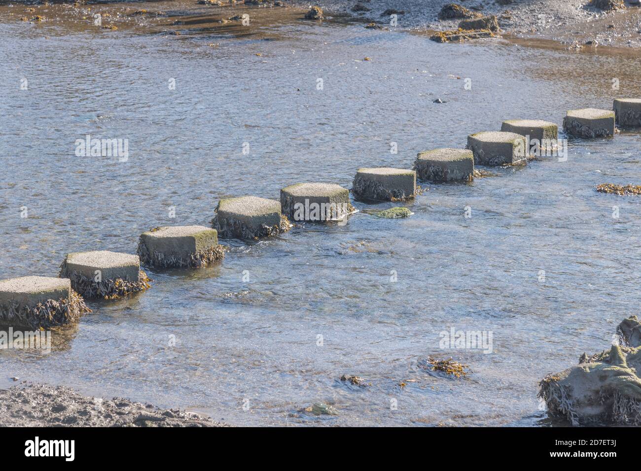 String of hexagonal concrete stepping stones over tributary of River ...