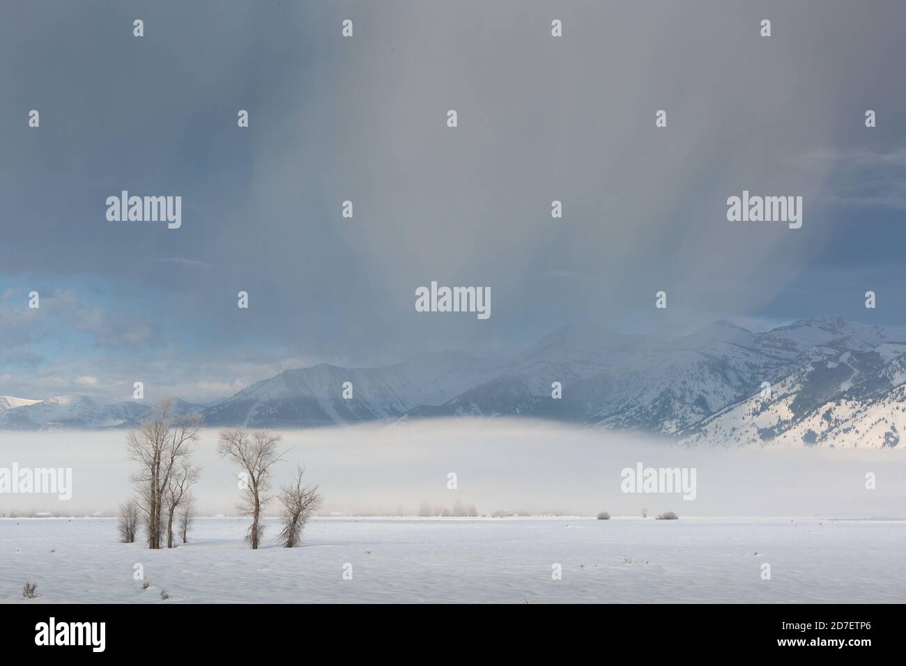 The Difference Between Snow And Snow Showers at James Joslin blog