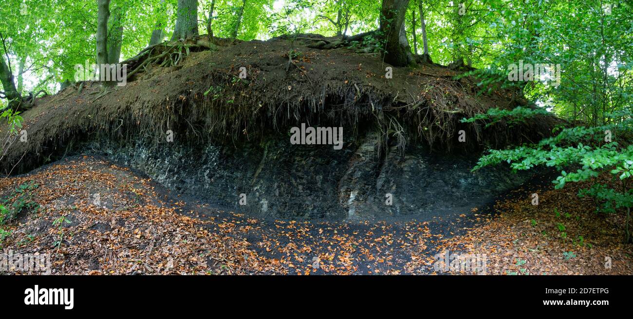 Panorama of the Schwarzkreidegrube near Vehrte in northwestern Germany ...