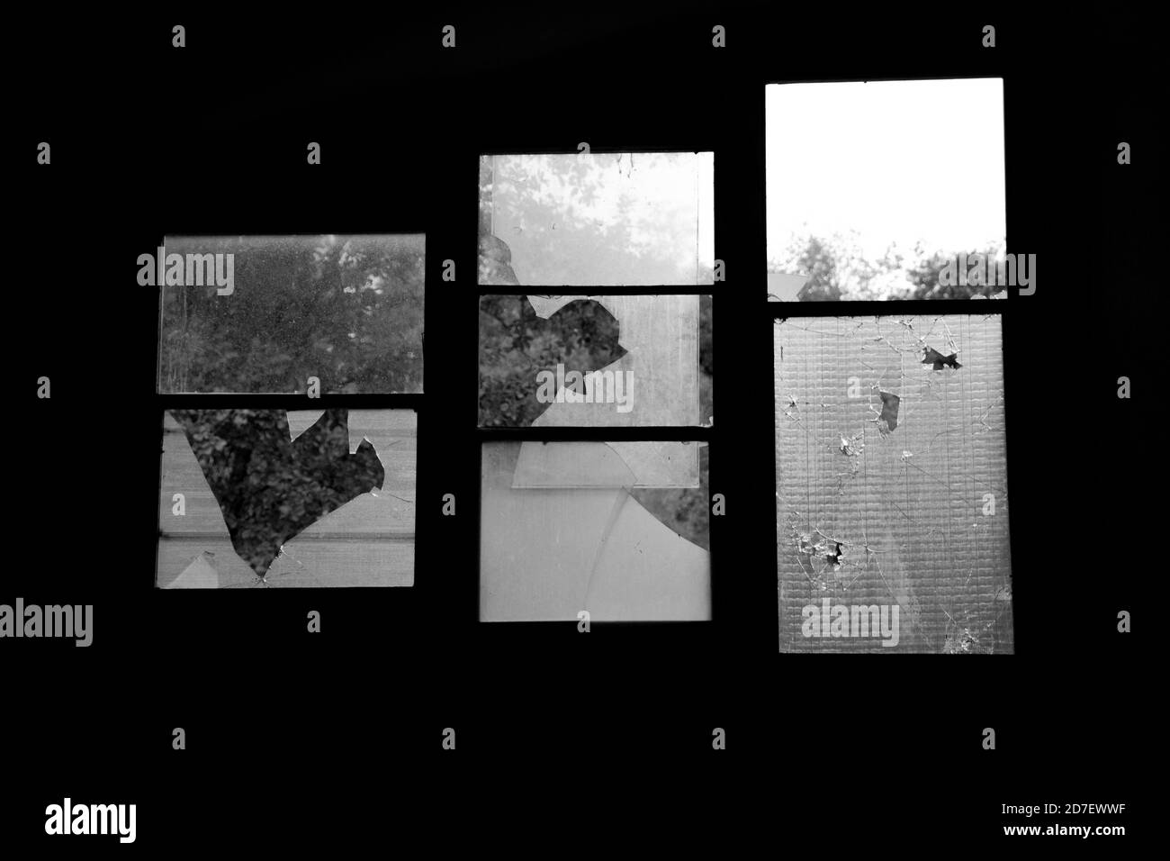 Dark windows window tree trees hi-res stock photography and images - Alamy