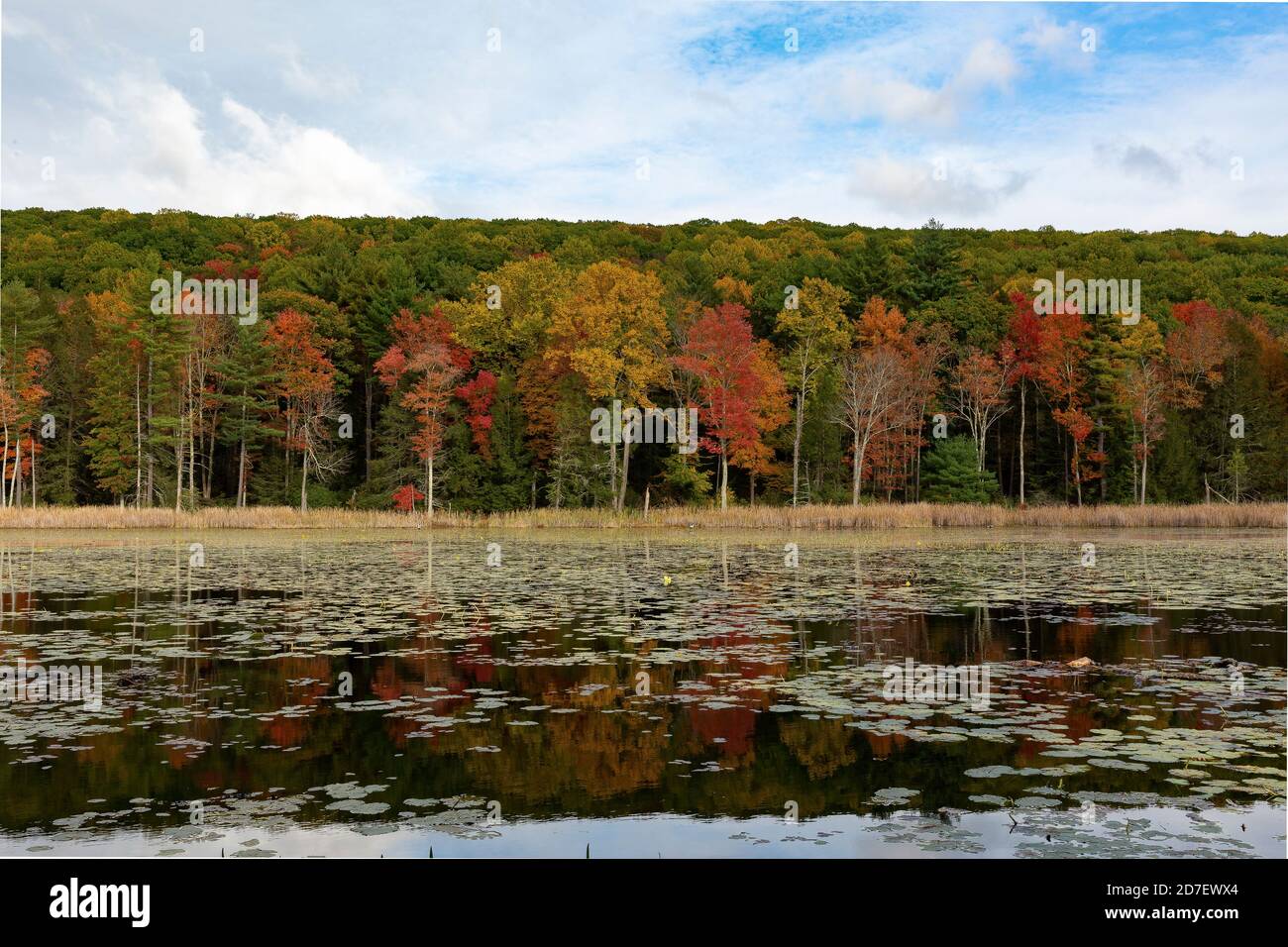 Berkshire mountain scenic hi-res stock photography and images - Alamy