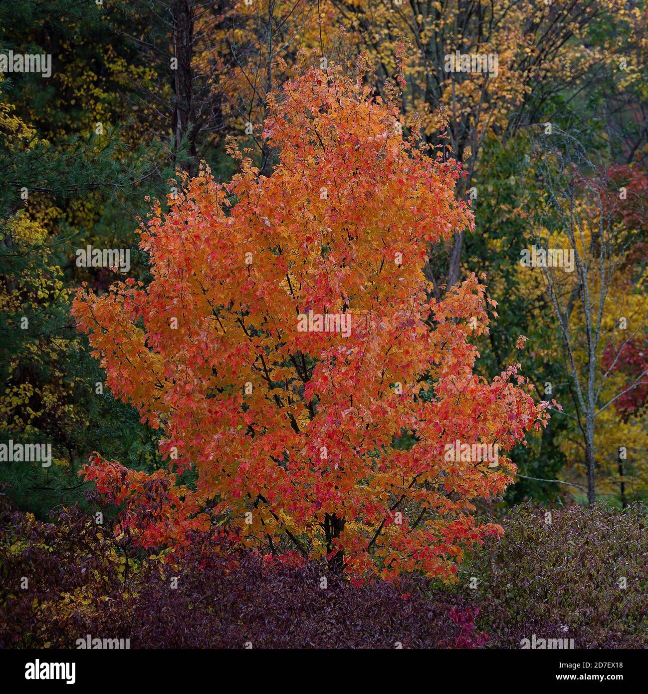 Berkshires landscape hi-res stock photography and images - Alamy