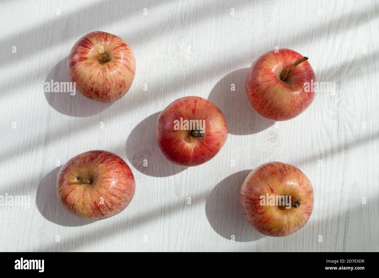 delicious fresh red apples in rows with a white background, design in a ...