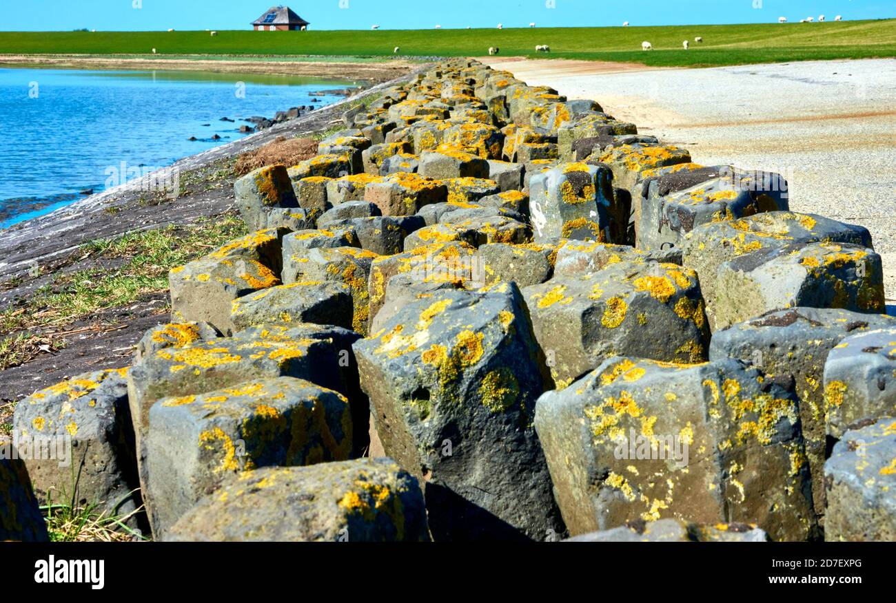 Breakwater made of basalt columns in front of a green grass dike with ...