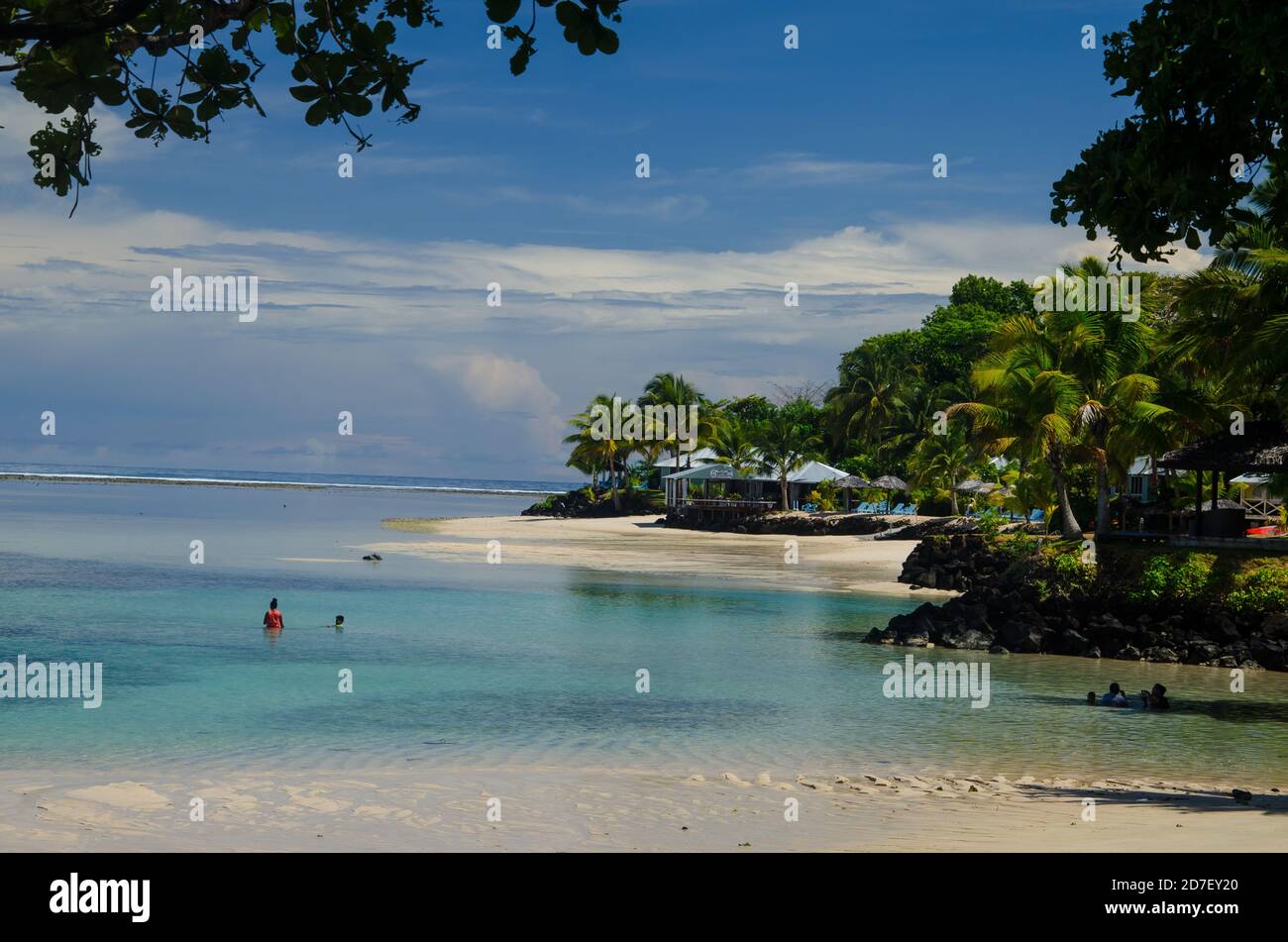 Landscape of a beach surrounded by palm trees and the sea in the Savai ...