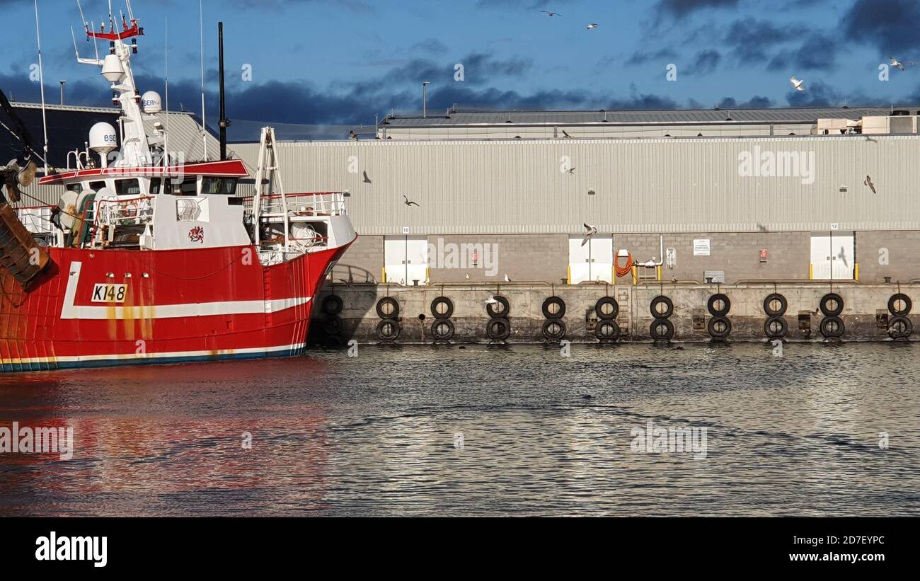 Peterhead fish market hi-res stock photography and images - Alamy