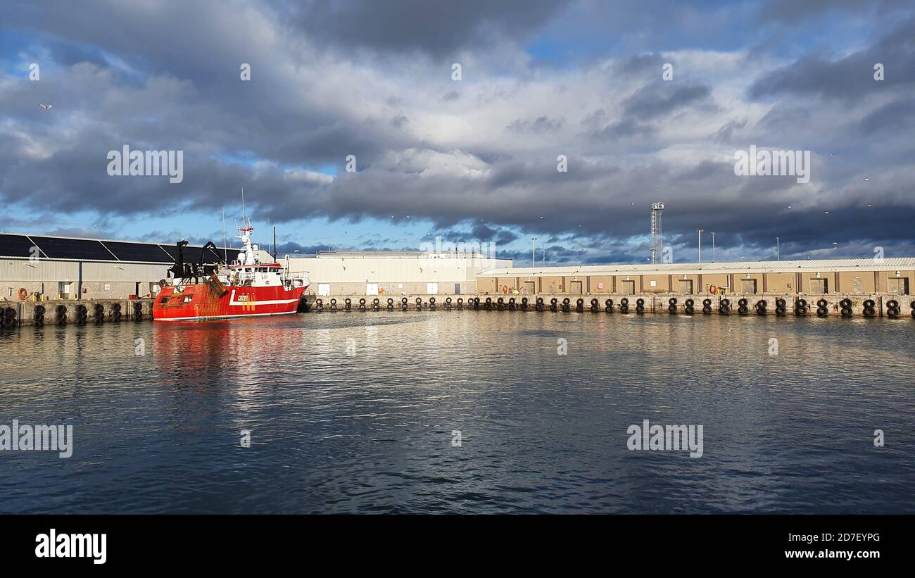 Peterhead fish market hi-res stock photography and images - Alamy