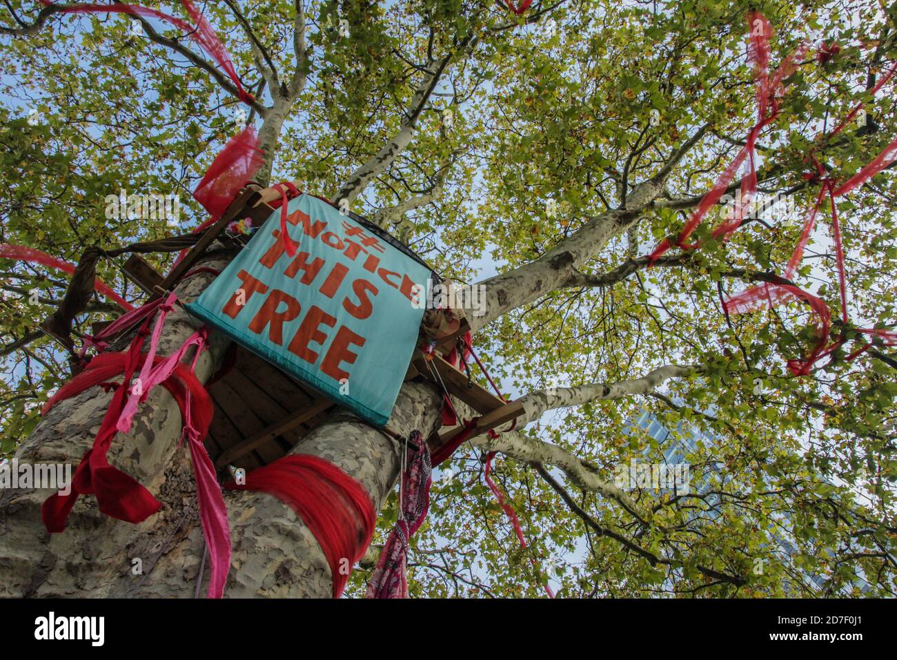 Decision tree hi-res stock photography and images - Alamy