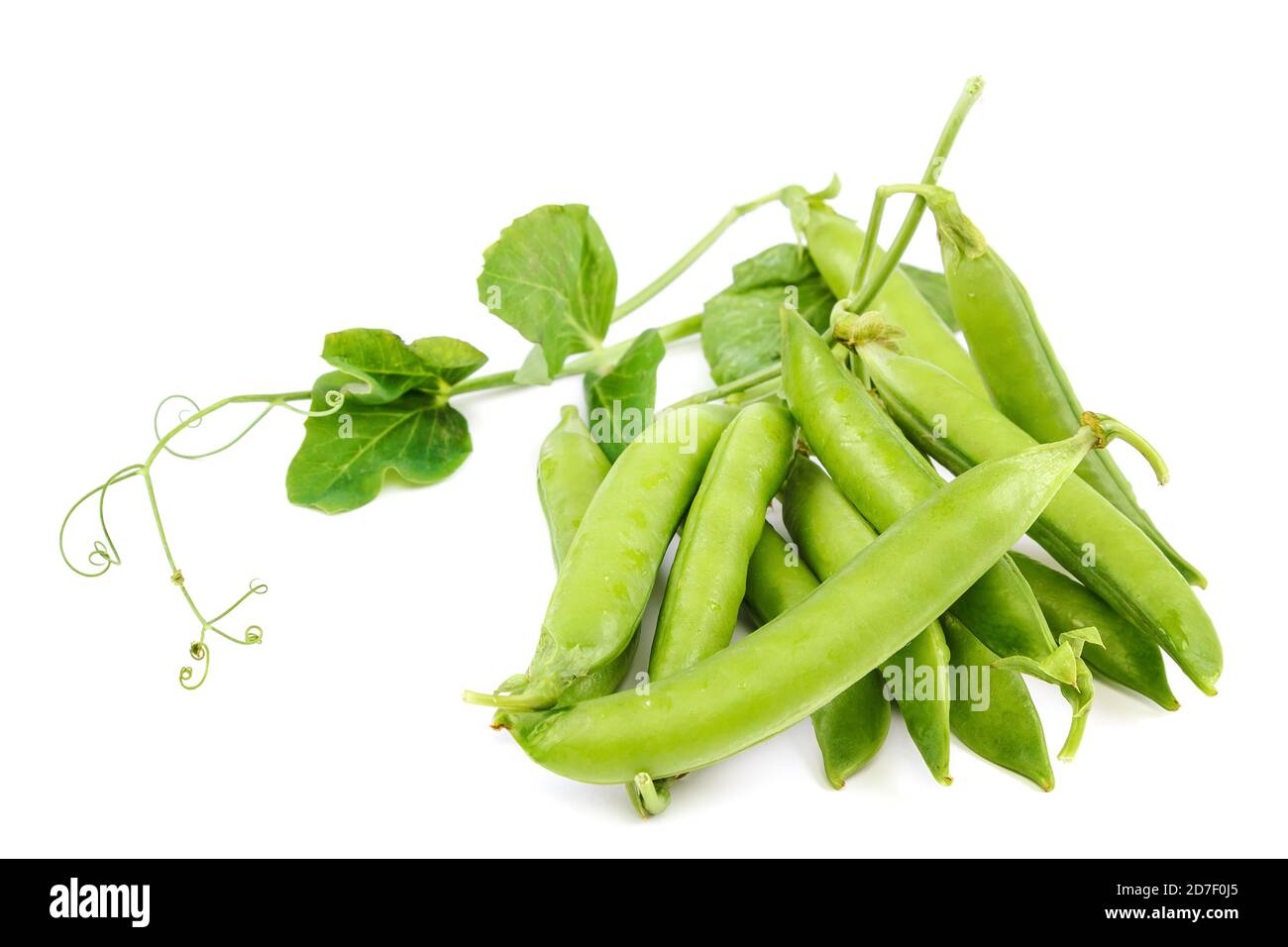 Fruits of green peas isolated on white background Stock Photo - Alamy