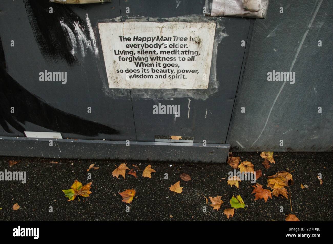 Decision tree hi-res stock photography and images - Alamy