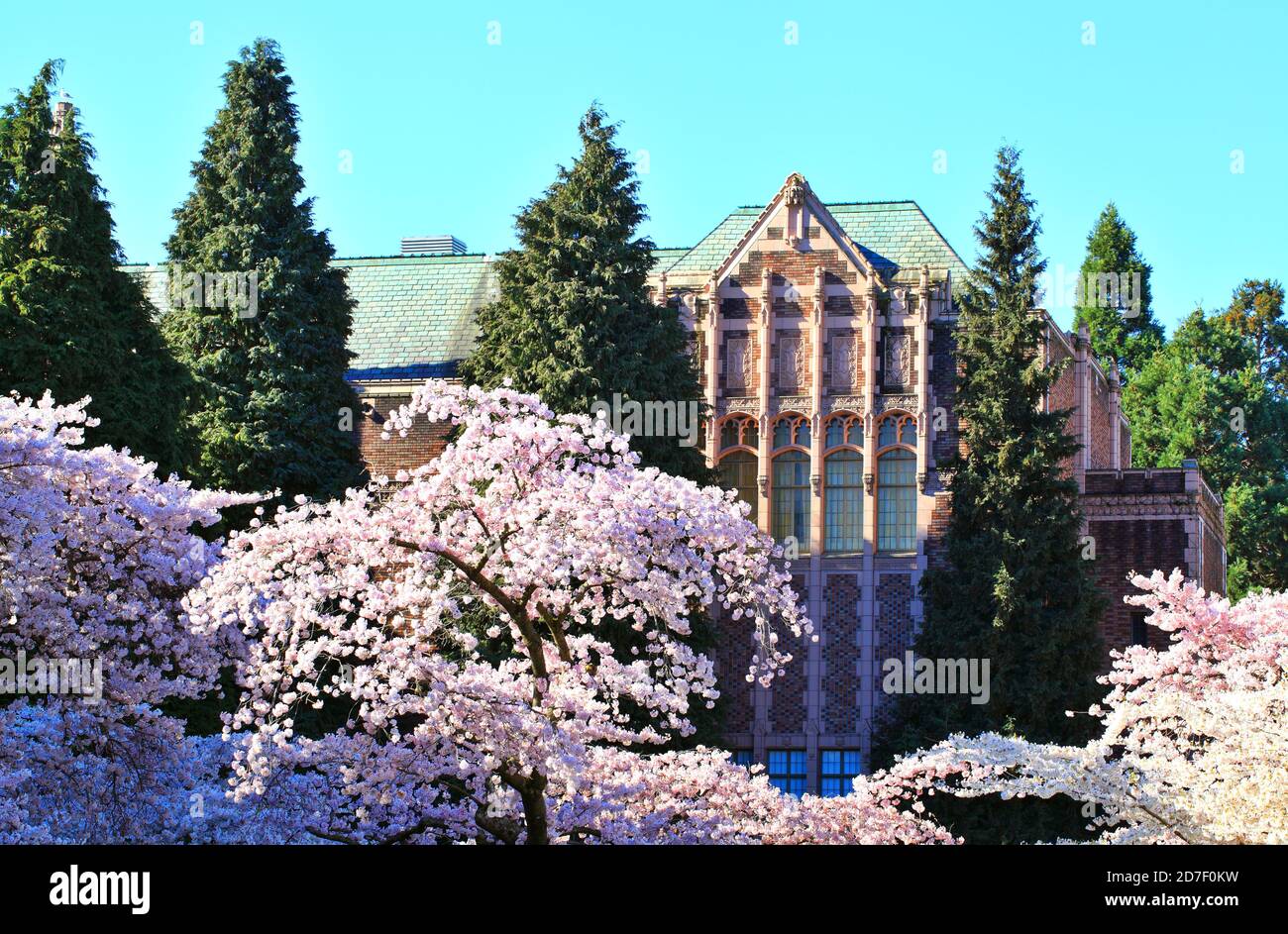 Seattle pacific university hi-res stock photography and images - Alamy