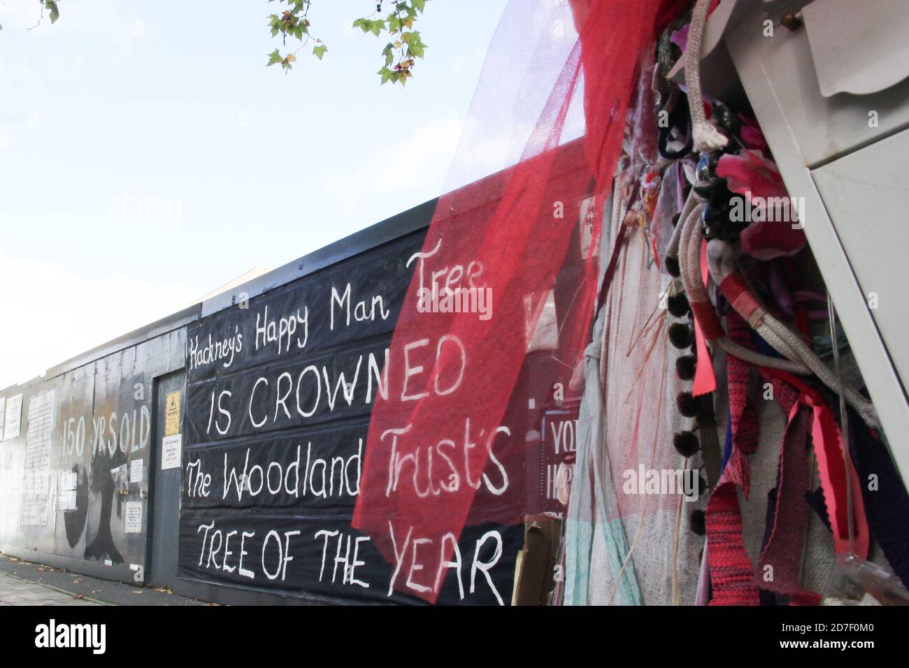 Say tree hi-res stock photography and images - Alamy