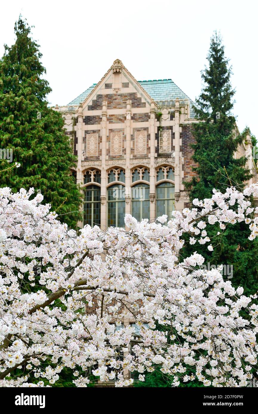 Seattle pacific university hi-res stock photography and images - Alamy