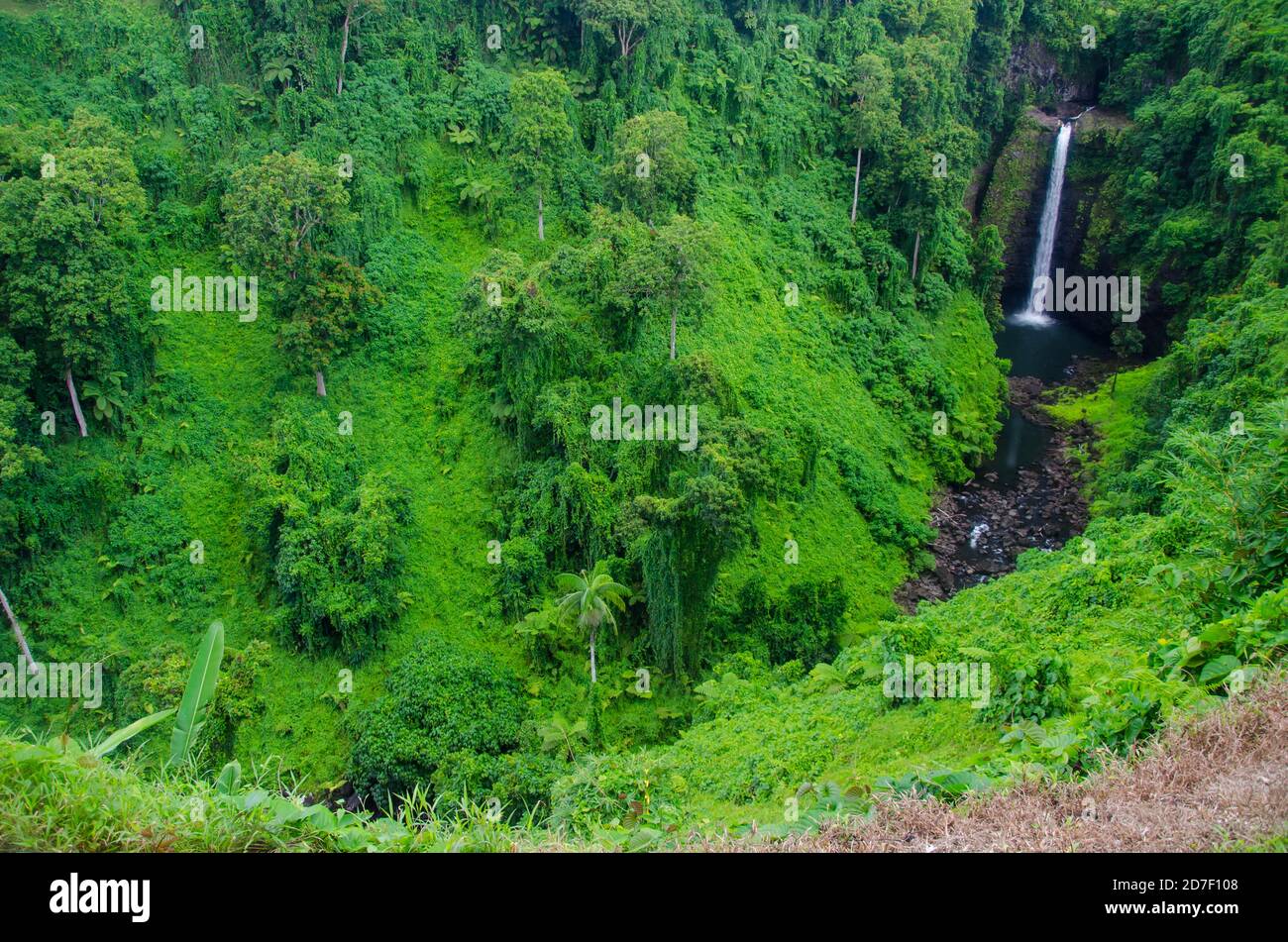 Sopo'aga Waterfall surrounded by greenery in the Upolu Island, Samoa ...