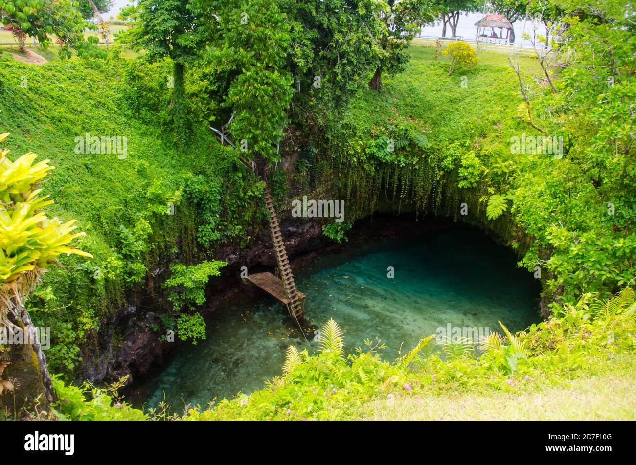 High angle shot of the To-Sua Ocean Trench under the sunlight in the ...