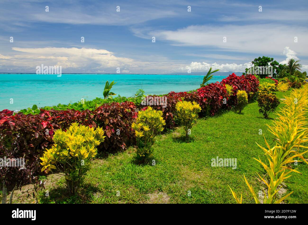 Sea surrounded by colorful flowers and bushes under a cloudy sky in the ...