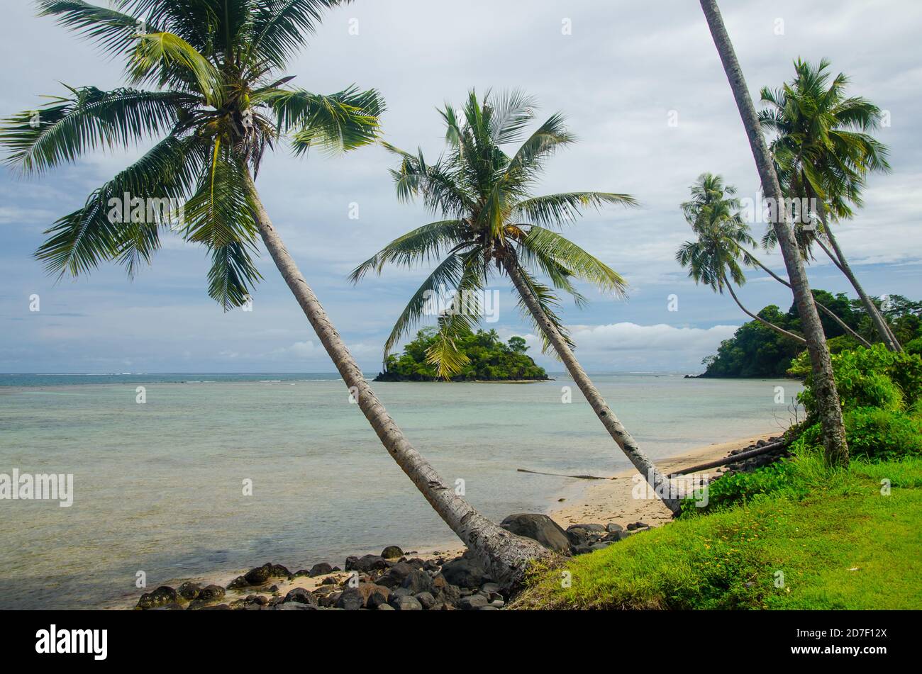 Landscape of the sea surrounded by palm trees under a cloudy sky in the ...