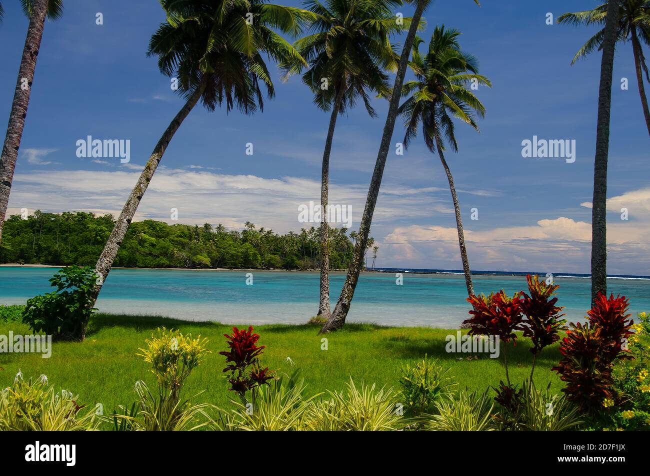 Sea surrounded by palm trees and bushes under the sunlight in the Savai ...